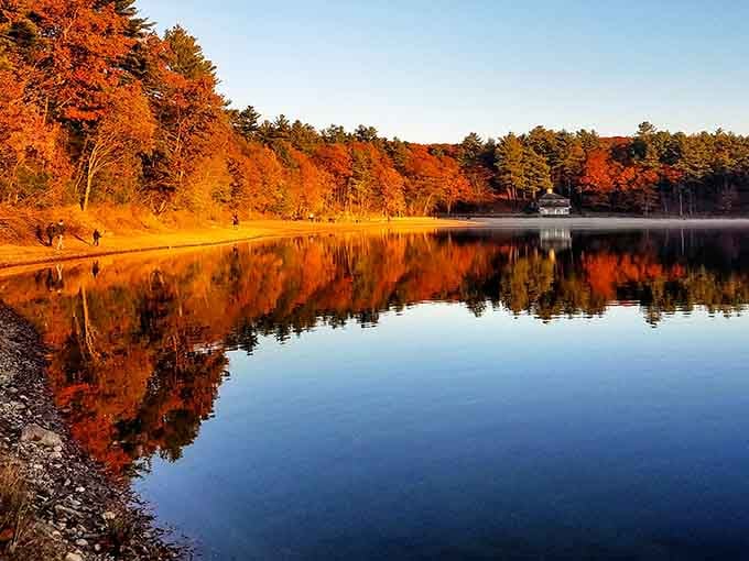 Fall foliage explodes across the water's mirror surface, doubling the autumn glory in a reflection so perfect it's almost unreal.