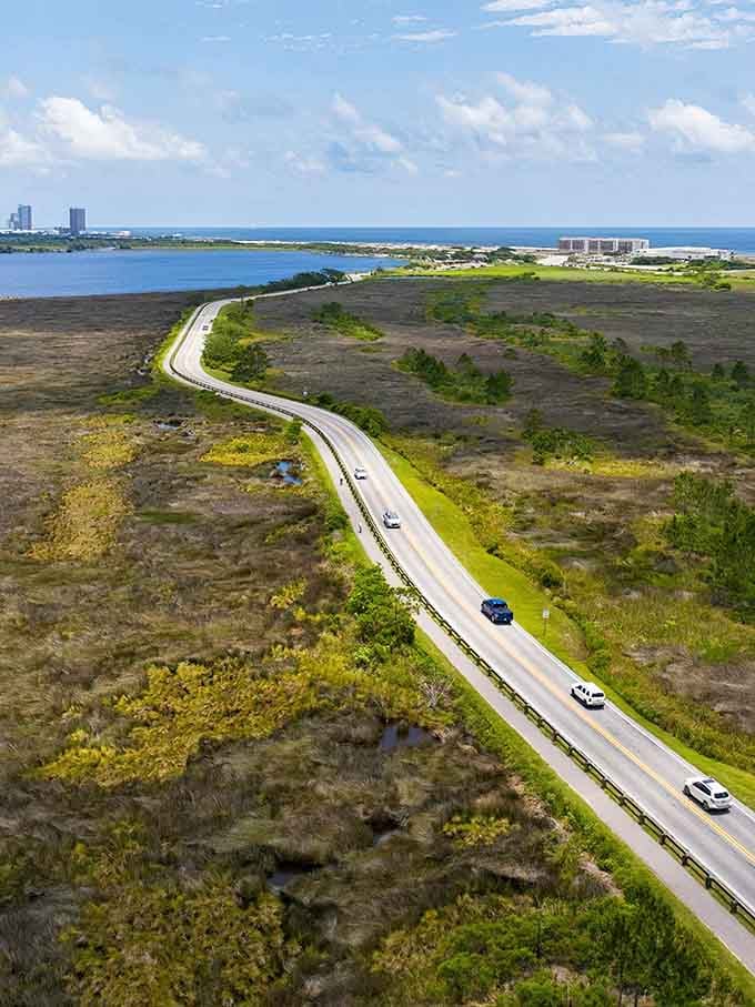 The ribbon of road curves through wetlands toward the Gulf, where land and water dance their eternal tango.