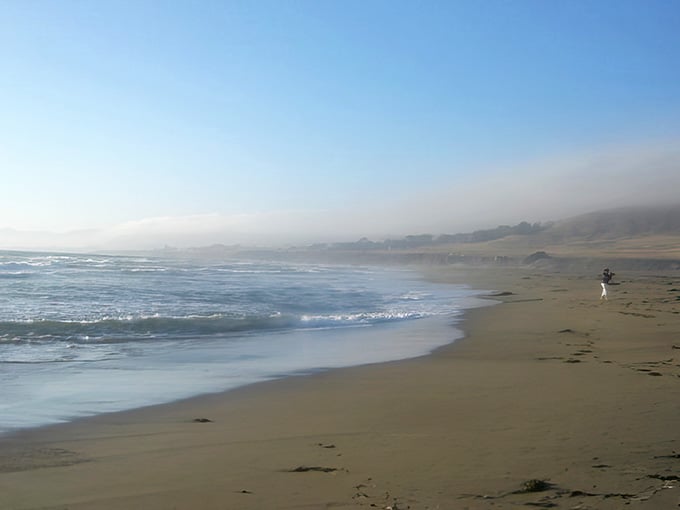 Morning fog wraps this solitary beachcomber in mystery, creating a moment of peaceful contemplation by the sea.