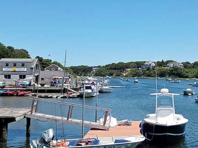 Boats bob peacefully in the harbor while waterfront buildings bask in sunshine that makes everything look magical.