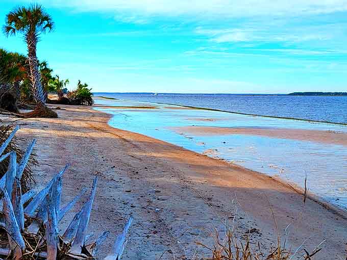 Palm trees and pastel-hued sand create an unexpected tropical paradise right here on Georgia's unspoiled barrier island.