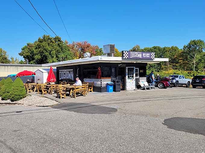 Sunny autumn day, picnic tables ready&mdash;the checkered pattern and laid-back atmosphere promise hot dogs with personality and perfect flavor.