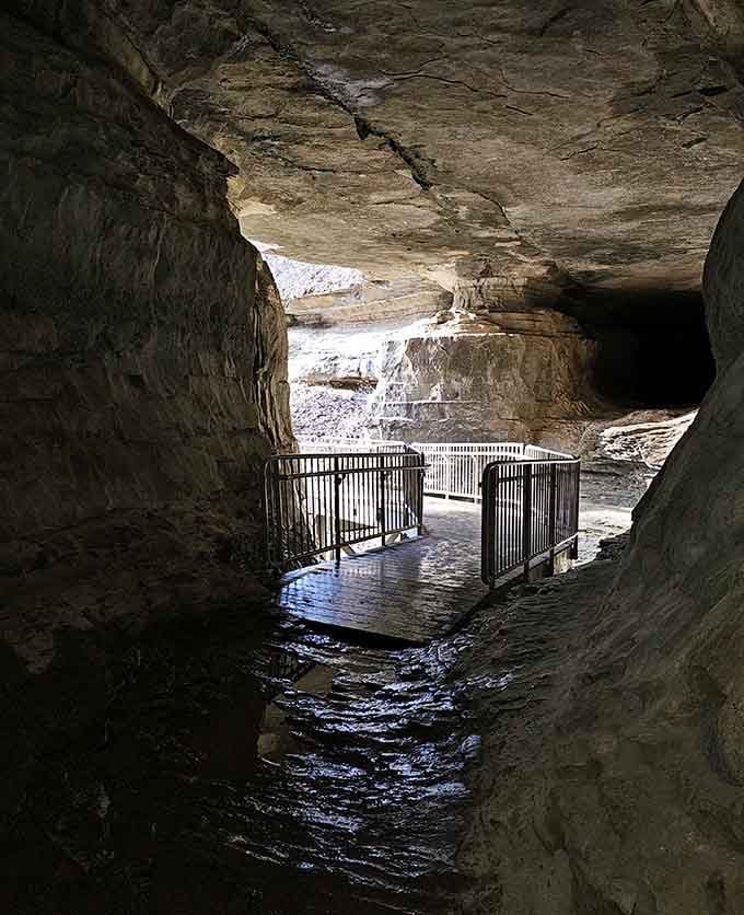 The viewing platform sits perfectly positioned where underground streams meet ancient rock, offering front-row seats to geological history.