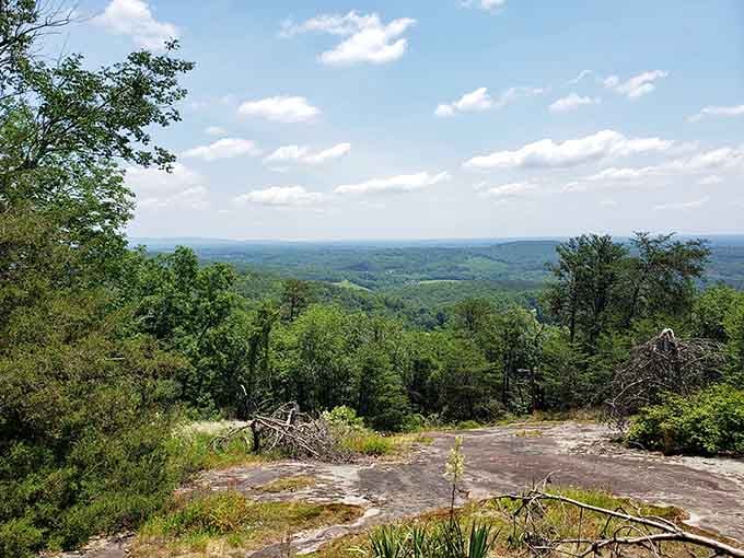 From this rocky perch, the world spreads out below like a green quilt stitched together by ridges and valleys.