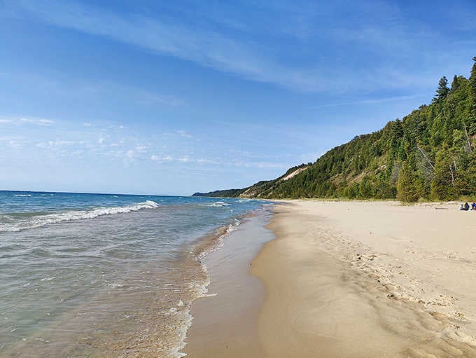 Forest-covered dunes rise dramatically behind pristine shoreline where gentle waves whisper secrets only longtime beachcombers understand completely.