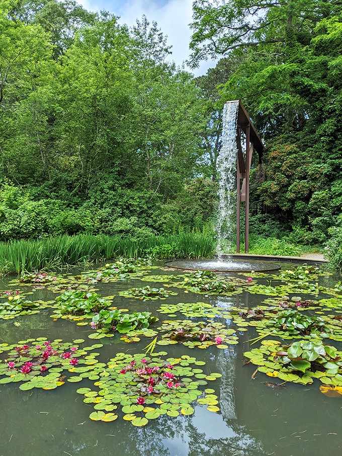 Water lilies float serenely while that dramatic fountain creates the perfect zen garden soundtrack.