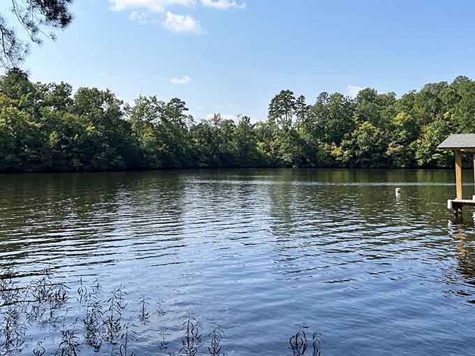 That gentle ripple on the water whispers promises of lazy summer afternoons and fish stories yet untold.
