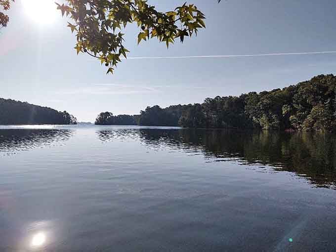Overhanging branches create a natural frame for these dark, still waters that reflect the surrounding hills like a mirror.