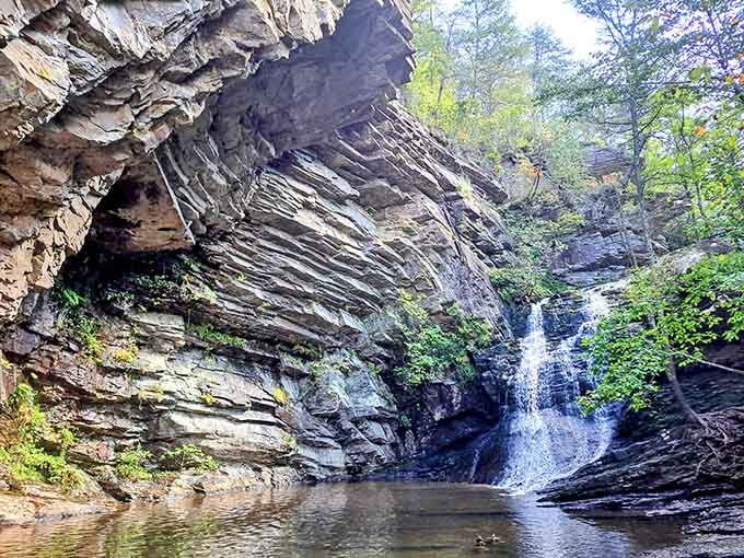 Dramatic cliff faces tower above the falls where water plunges into a pool of liquid emerald.