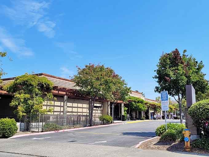 Wide, quiet streets lined with greenery make every walk feel like a peaceful retreat from the modern world.