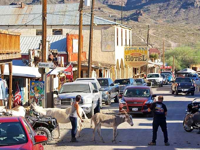 Wild burros strolling Main Street like they're late for a meeting&mdash;because in Oatman, they run the show.