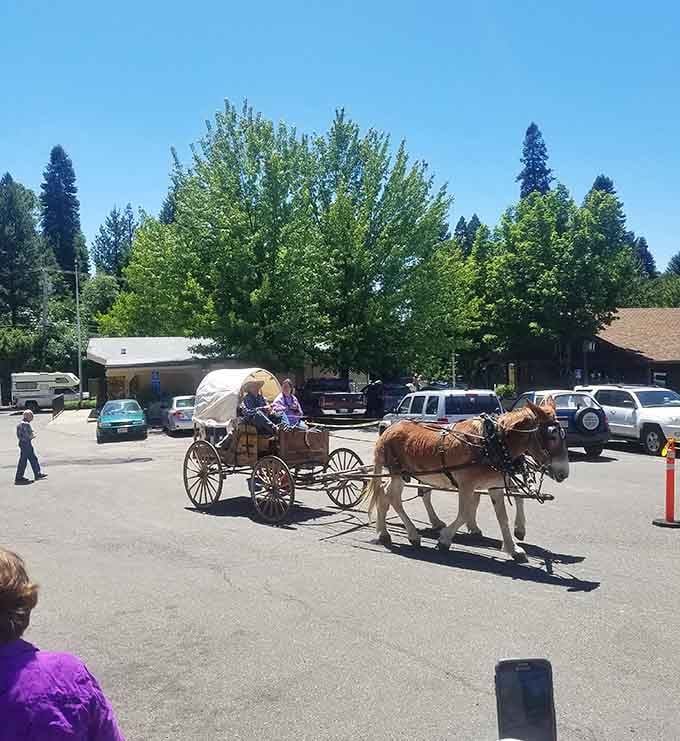 A horse-drawn wagon clip-clops through town, proving some places still remember when life moved at a gentler pace.