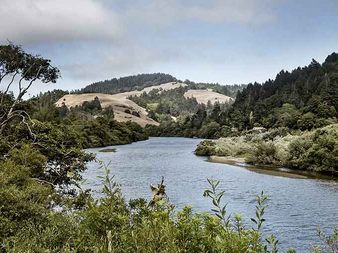 This tranquil bend in the river proves that sometimes the best views come with their own feathered residents.