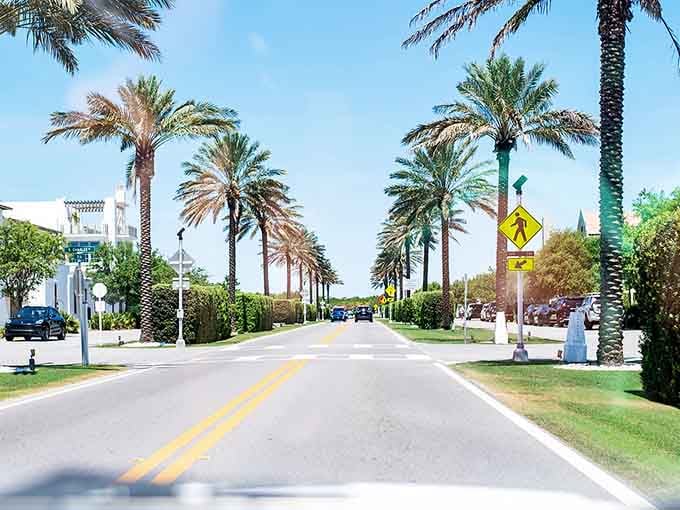 More palms line this sun-drenched street, creating shade and style in equal measure for lucky travelers.