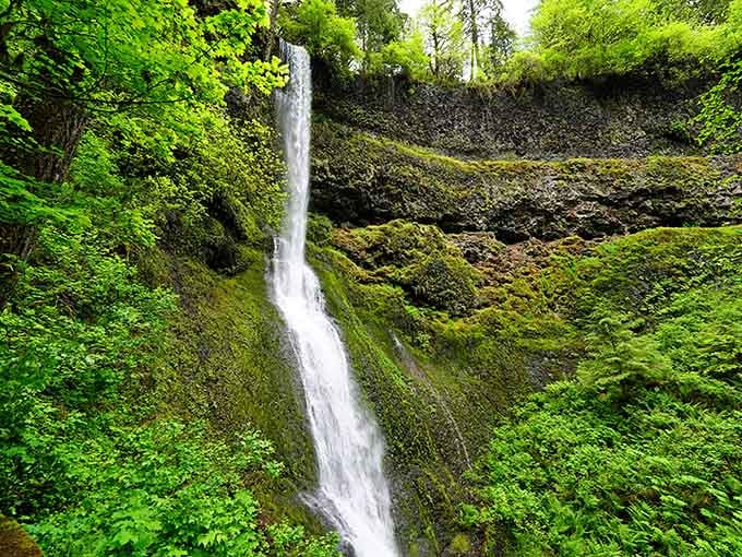 Emerald moss blankets every surface around this graceful cascade, creating a scene straight from Middle Earth itself.