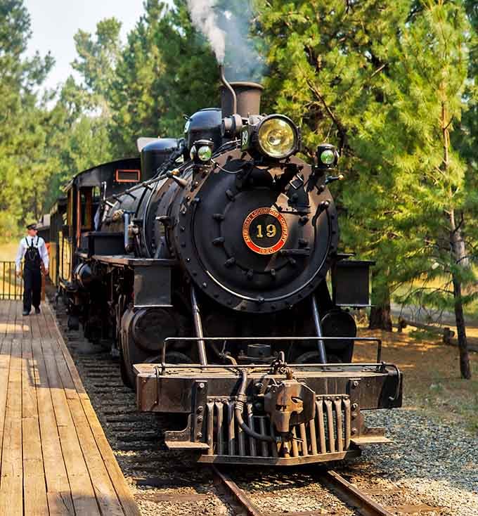 Steam billowing from the stack, this iron horse charges forward like it's got somewhere important to be.
