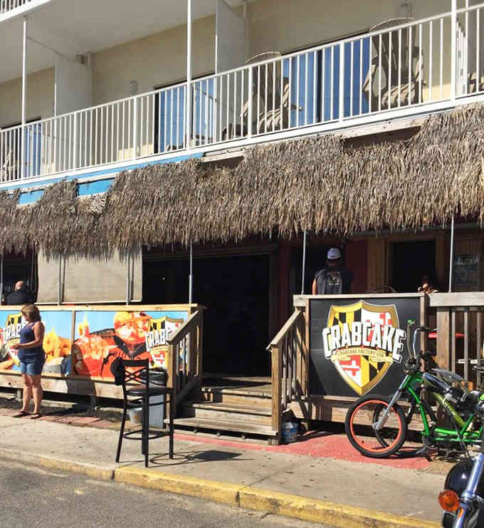 That thatched tiki roof brings beach vacation vibes to your meal—flip-flops optional, appetite absolutely required.