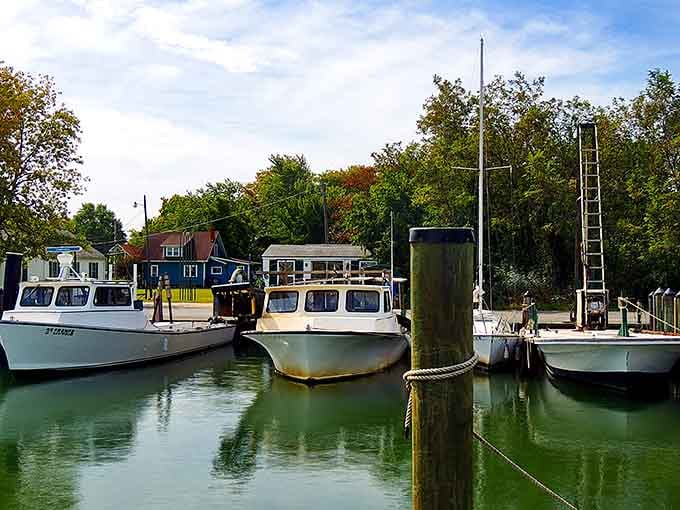 These sturdy workboats tied up at the marina represent generations of families who've made their living from the bay.