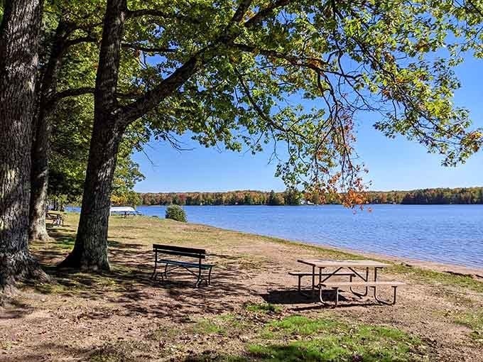 Lakeside picnic spots under mature trees offer front-row seats to nature's daily show of rippling water and rustling leaves.