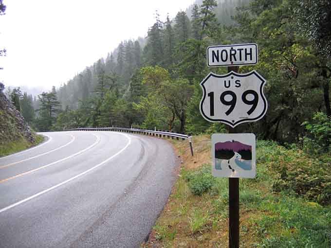 That Route 199 sign promises adventure ahead, and these ancient forests absolutely deliver on that promise every time.