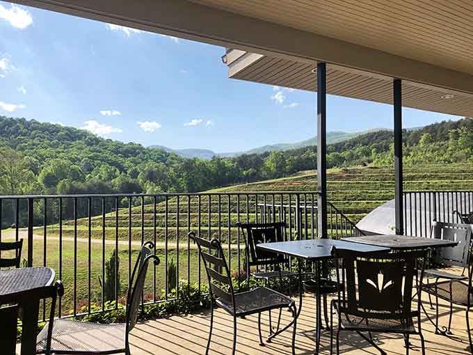 Sip wine on this deck while mountains roll away in the distance like a Bob Ross landscape.