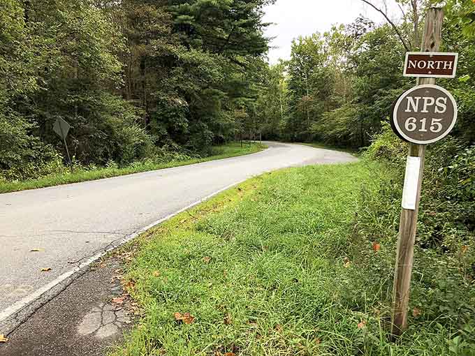 National Park Service signs mark trails winding through forests that look untouched by modern times.
