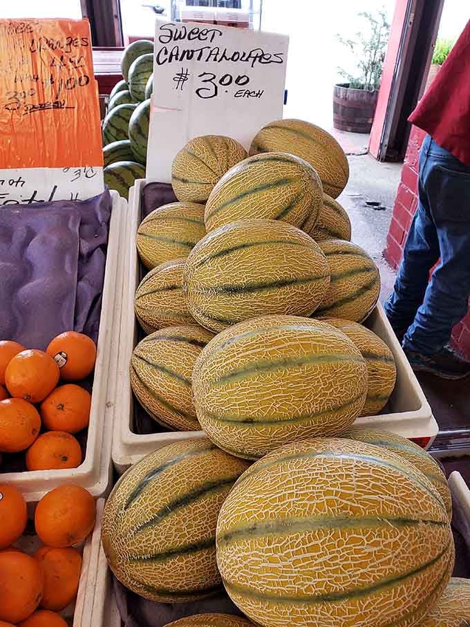 Sweet cantaloupes stacked like edible treasure, their netted rinds hiding the golden goodness waiting inside for you.