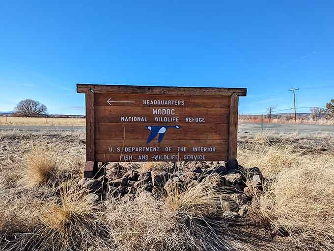 Modoc National Wildlife Refuge headquarters marks the gateway to some of California's best bird watching that nobody knows about.