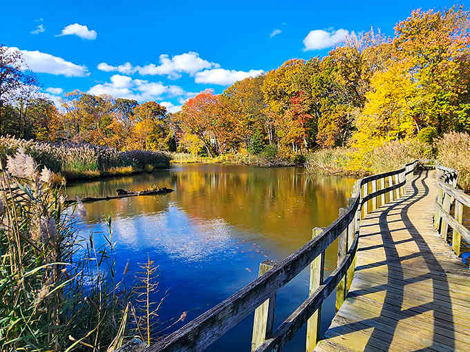 Fall foliage frames the water like nature's own postcard, because Maryland autumns don't mess around.