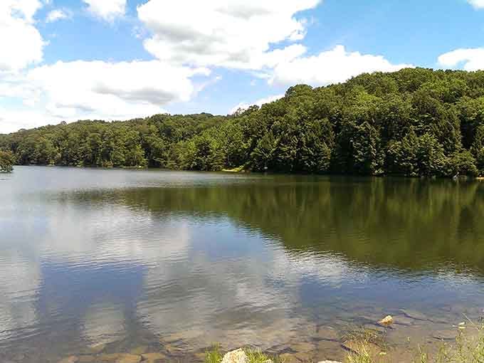 Rose Lake reflects the surrounding forest like nature's own mirror, minus the unflattering bathroom lighting we all hate.