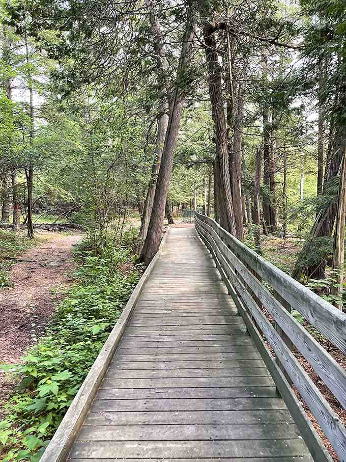 Wooden boardwalks wind through the forest approach, building anticipation before the main geological event begins.