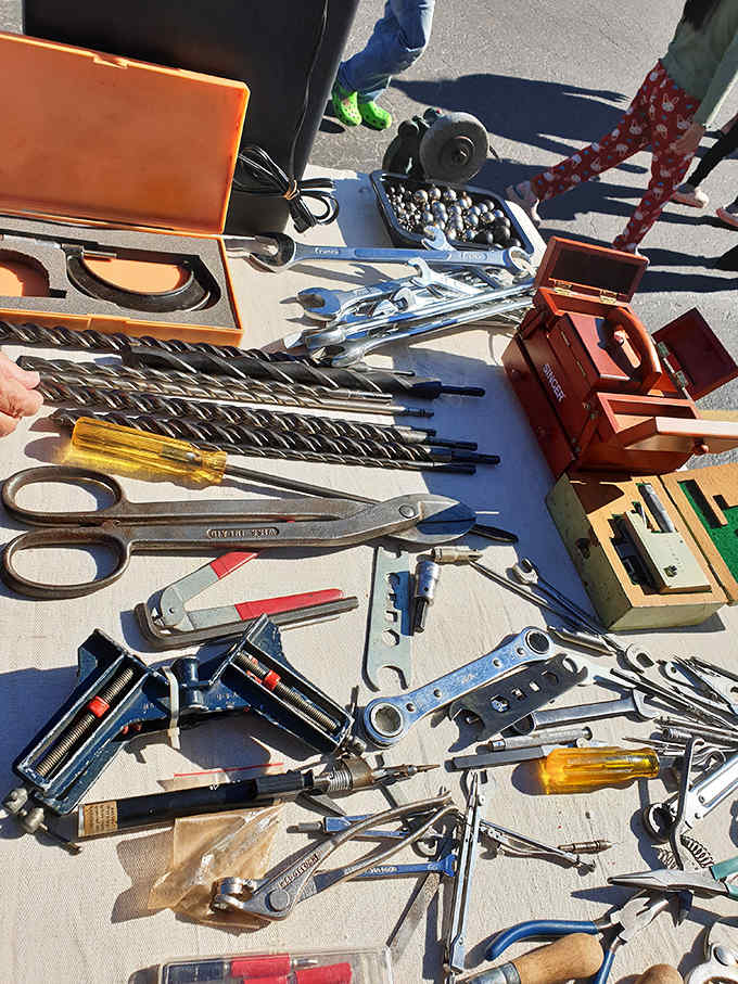Tools spread out like a hardware store exploded in the best possible way, ready for your next DIY triumph.