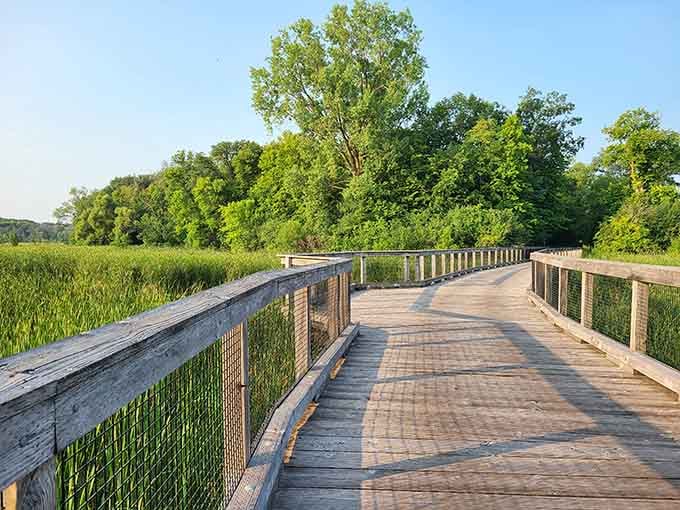 Boardwalks winding through wetlands where nature puts on a show better than anything streaming on your favorite platform right now.