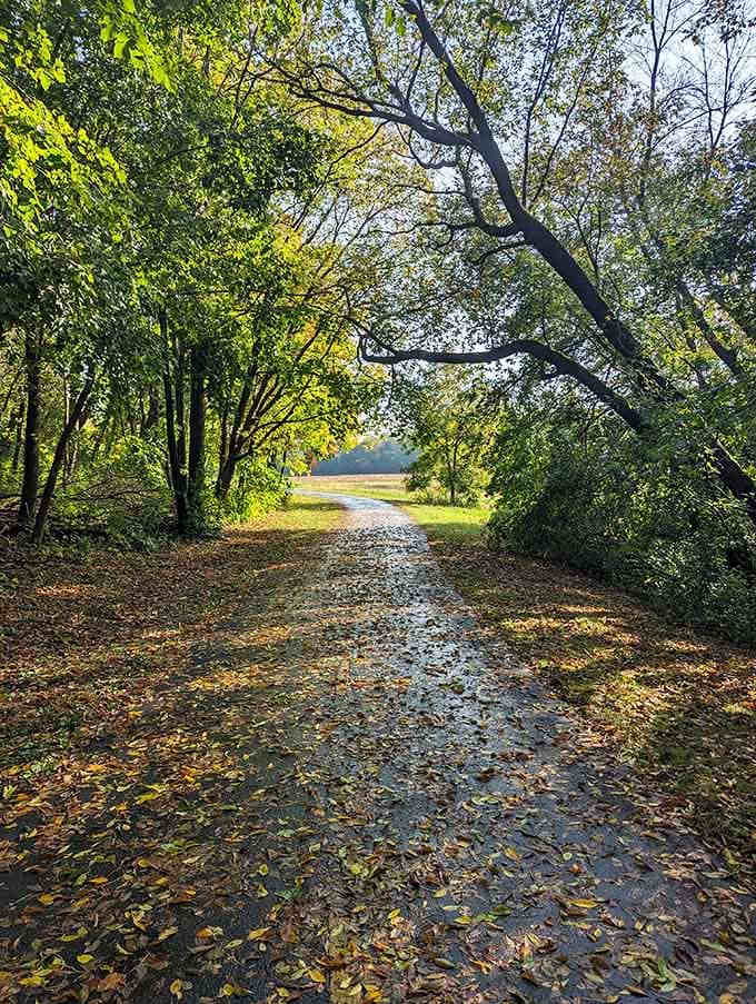 Fall trails carpeted in leaves create that satisfying crunching soundtrack to your nature walk through the woods.