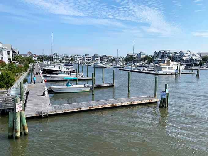 The marina is where boats rest between adventures and pelicans practice their stand-up comedy routine.