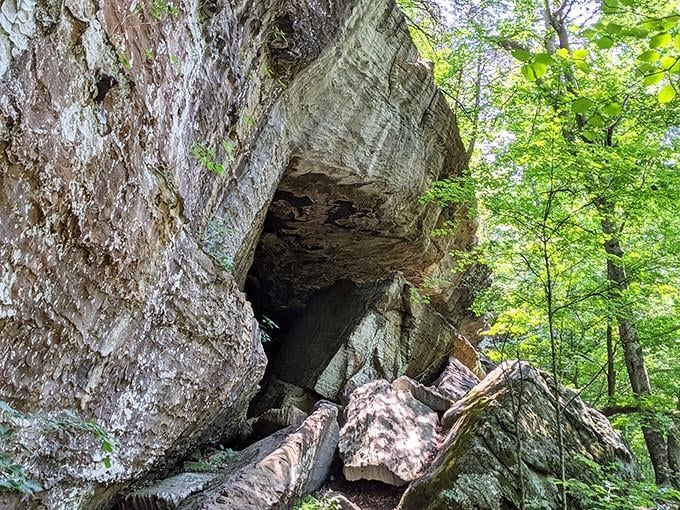 Sandstone formations that look like nature's abstract sculpture garden, except these actually make sense when you stare at them.