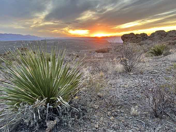Sunsets here don't just happen, they perform, and they never disappoint their audience.