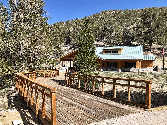 Wooden bridges lead to mountain retreats where nature does all the decorating and charges you absolutely nothing.