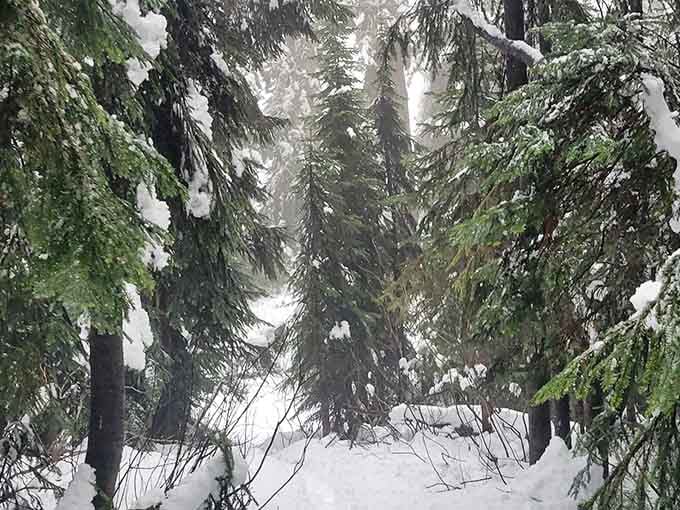 Winter transforms the trail into a completely different adventure, reserved for the truly dedicated explorers.