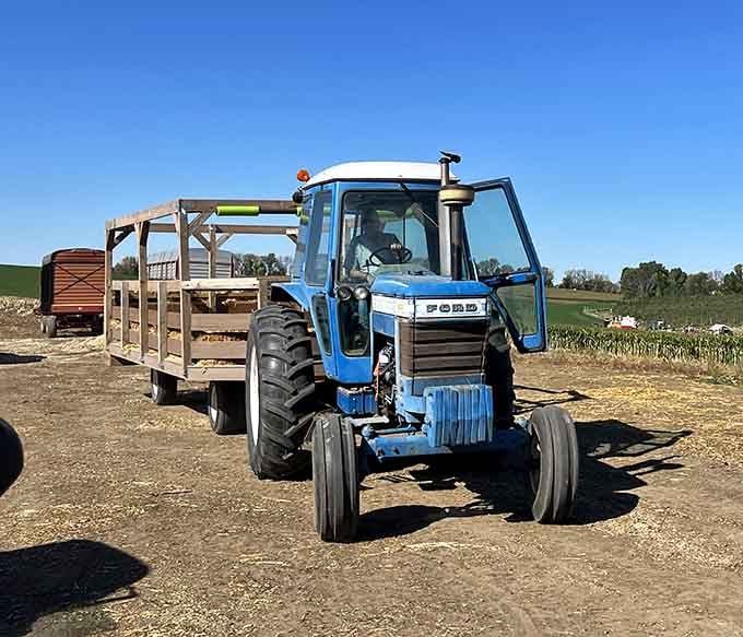 Vintage tractors haul hay bales, offering rides that beat any amusement park's manufactured thrills completely.