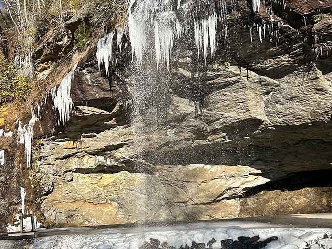 Winter transforms the falls into a crystalline sculpture garden, proving Georgia's beauty works every season of the year.