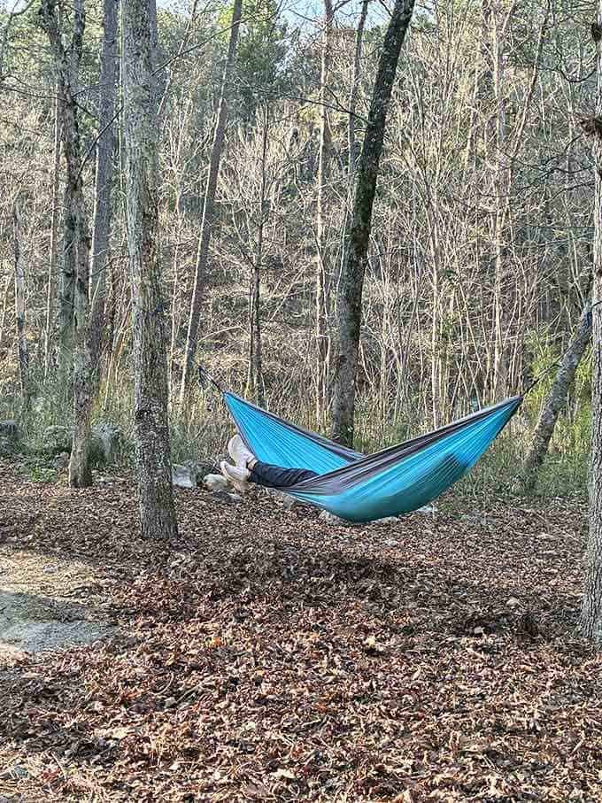 That hammock life between two trees is the retirement plan we all secretly want.
