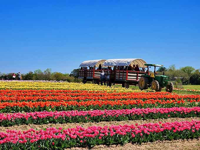 Hop aboard for a wagon ride that's infinitely more scenic than your usual commute through traffic.