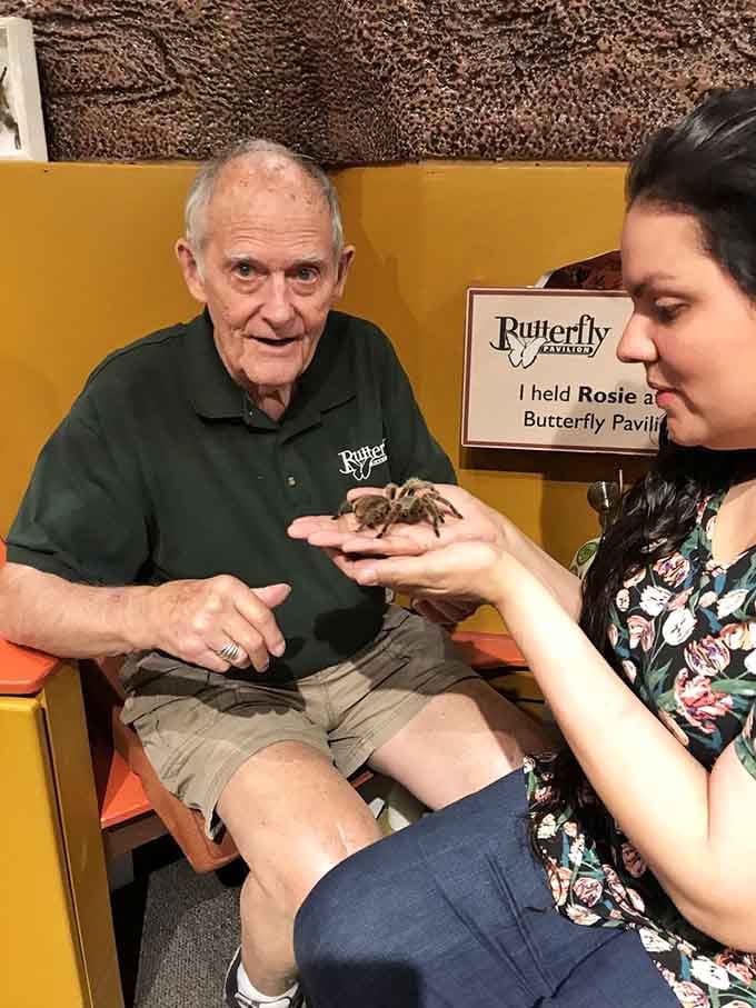 Meeting Rosie the tarantula: equal parts terrifying and thrilling, like watching a horror movie through your fingers.