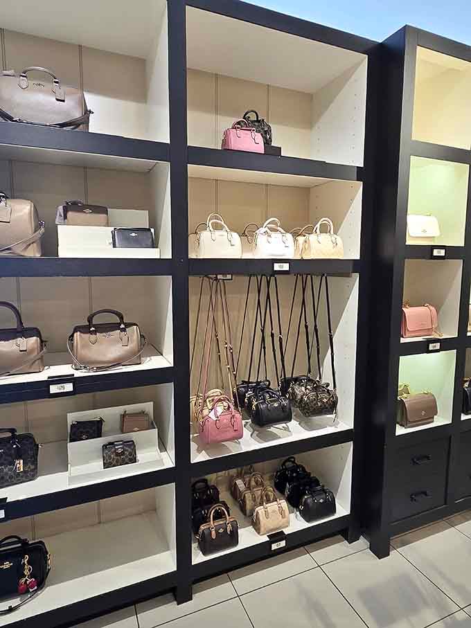 Designer bags arranged like precious gems, proving luxury and budget-consciousness can absolutely coexist in beautiful harmony together.