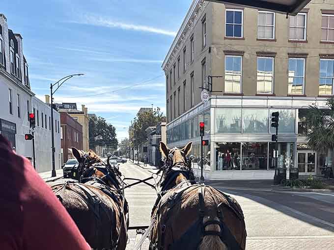 Sunshine and the gentle sway of a carriage create the perfect recipe for Southern contentment.