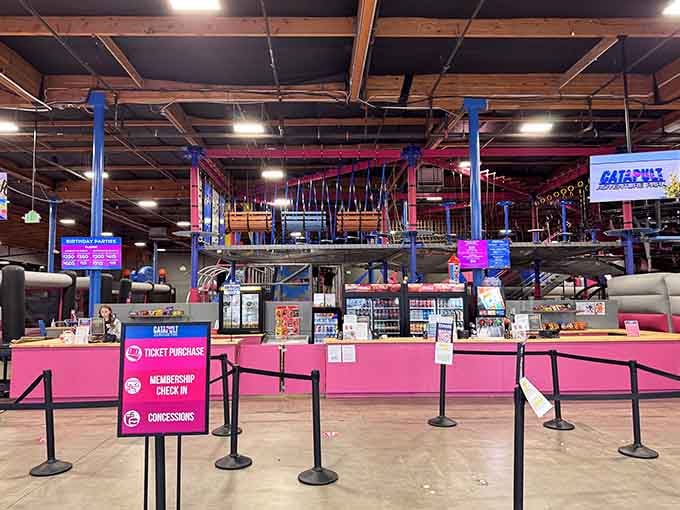 The front counter where dreams begin and parents' wallets get slightly lighter, but nobody seems to mind one bit.