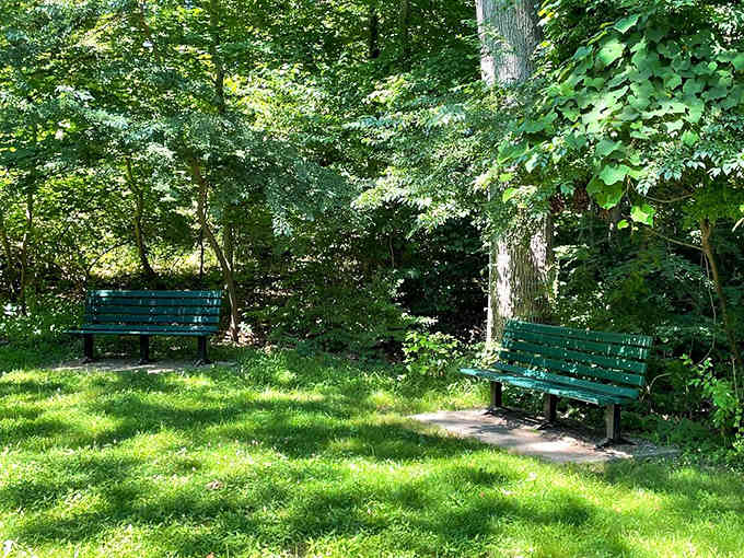 Find a bench, breathe deep, and remember when your biggest decision was which tree provided better shade.