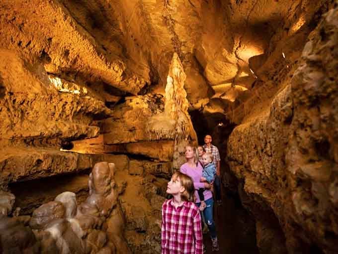 Kids gazing upward in wonder, proving that nature still beats any screen when it comes to amazement.