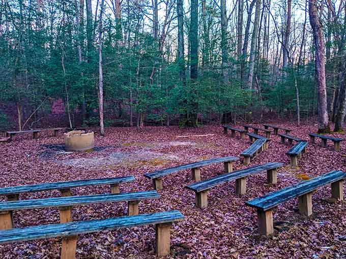 An outdoor amphitheater where the acoustics are perfect and every seat offers excellent forest views.